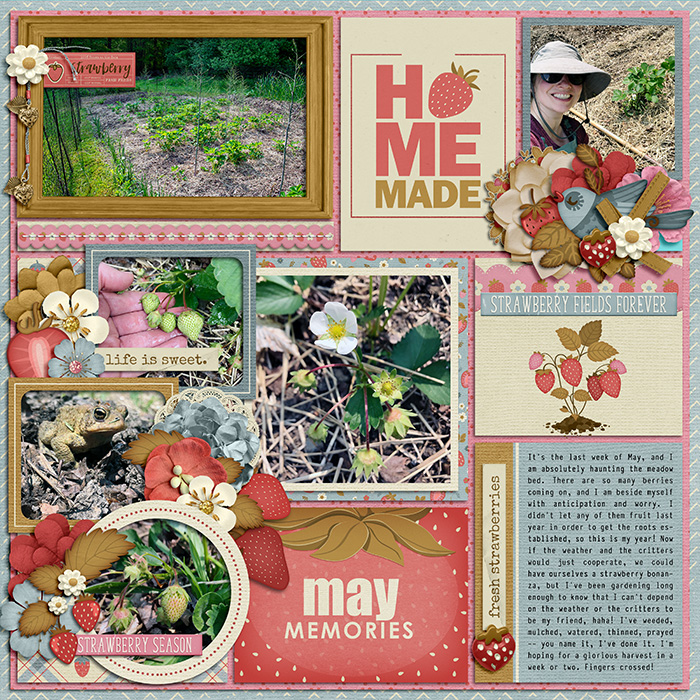 Sweet Shoppe Designs - Making Your Memories Sweeter