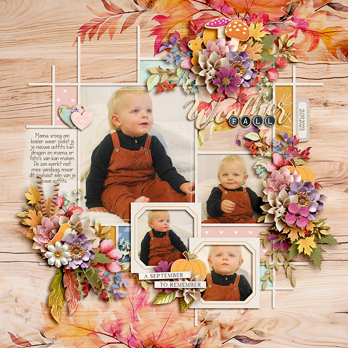 Sweet Shoppe Designs - Making Your Memories Sweeter