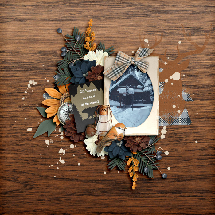 Cabin Home: Collection Bundle by Meagan's Creations