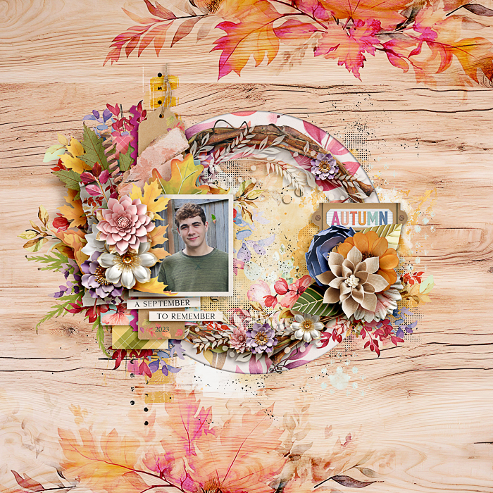 Sweet Shoppe Designs - Making Your Memories Sweeter