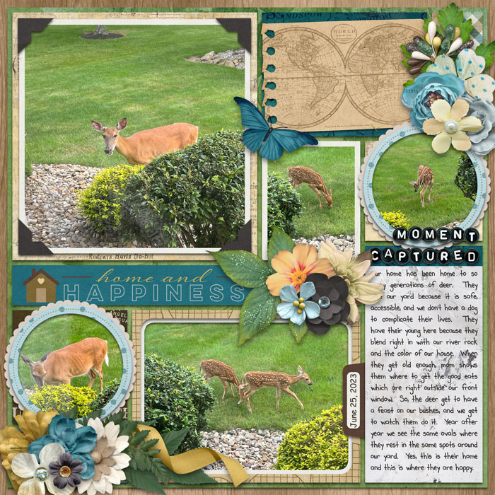 Sweet Shoppe Designs - Making Your Memories Sweeter