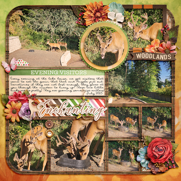 Sweet Shoppe Designs - Making Your Memories Sweeter