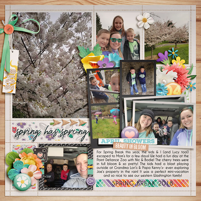 Sweet Shoppe Designs - Making Your Memories Sweeter