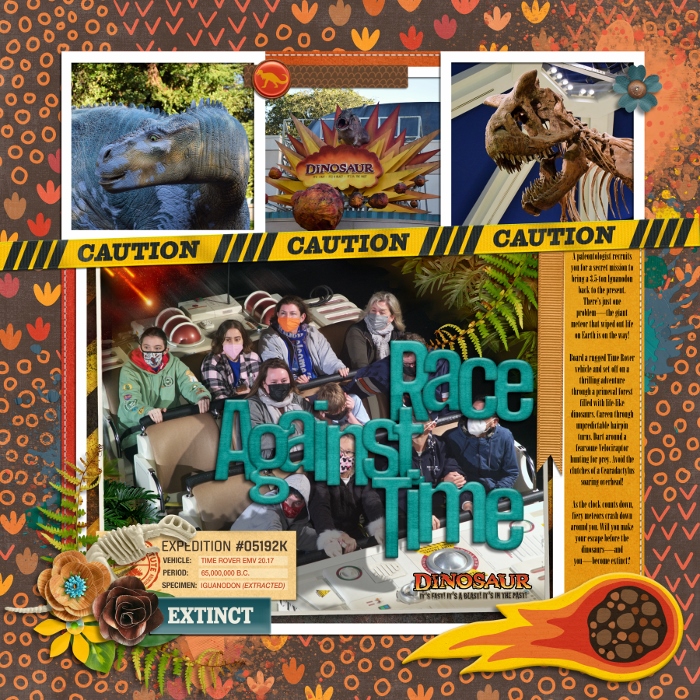 Sweet Shoppe Designs - Making Your Memories Sweeter