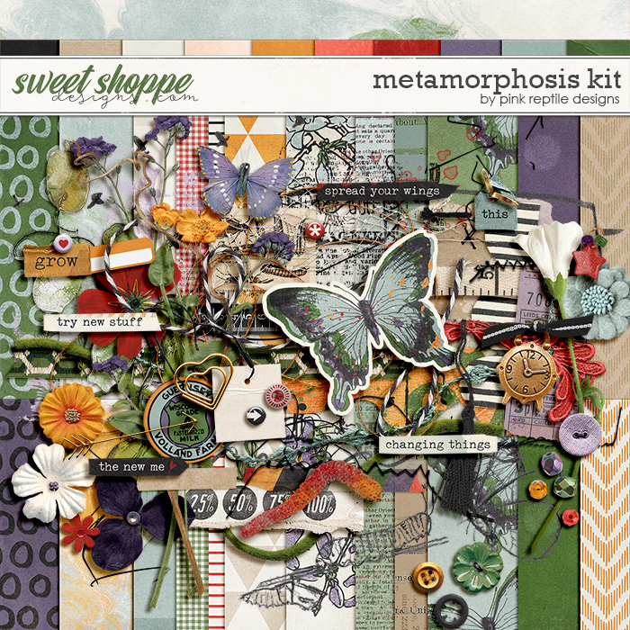 Metamorphosis Bundle by Pink Reptile Designs