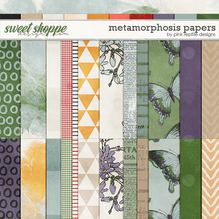 Metamorphosis Bundle by Pink Reptile Designs