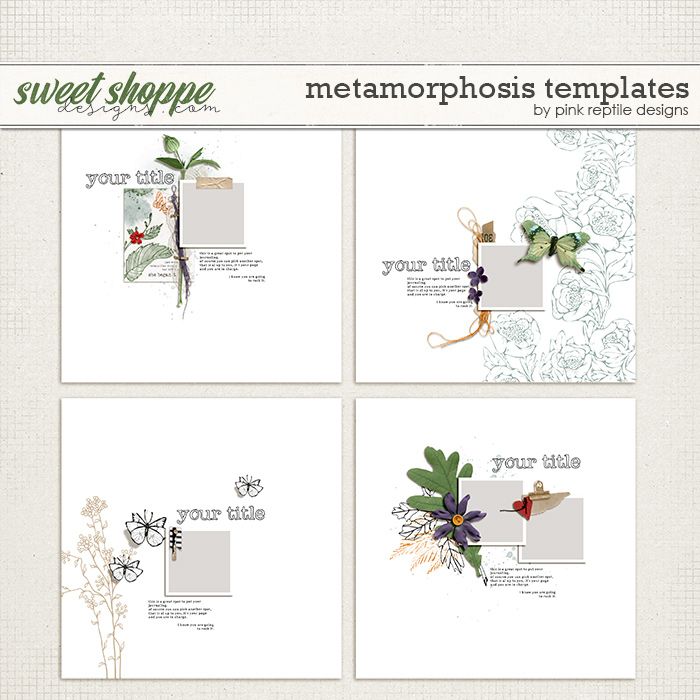 Metamorphosis Bundle by Pink Reptile Designs
