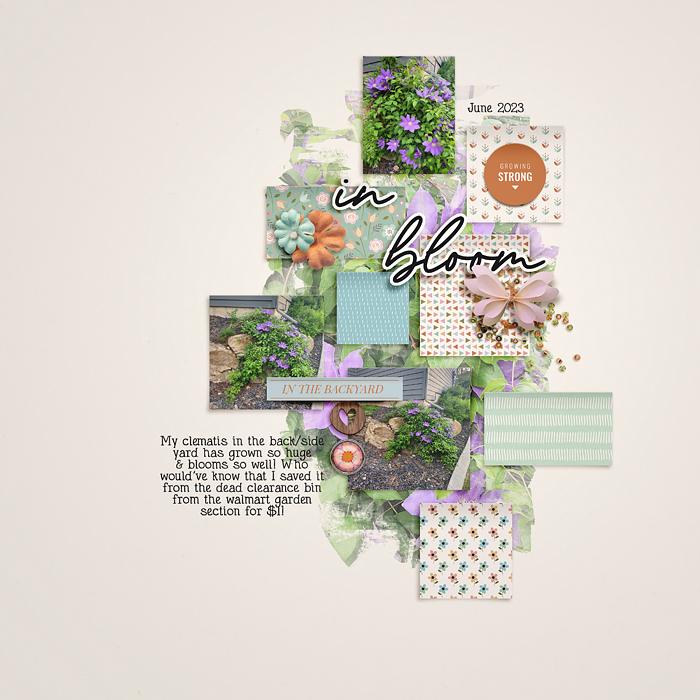 Sweet Shoppe Designs - Making Your Memories Sweeter