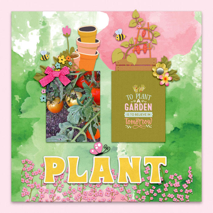 Sweet Shoppe Designs - Making Your Memories Sweeter