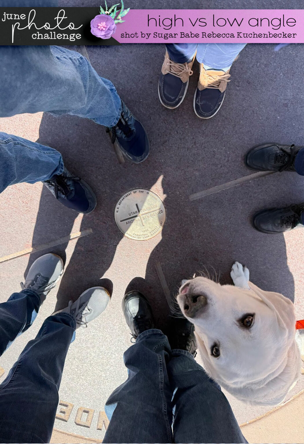 Sweet Shoppe Designs – The Sweetest Digital Scrapbooking Site on the ...