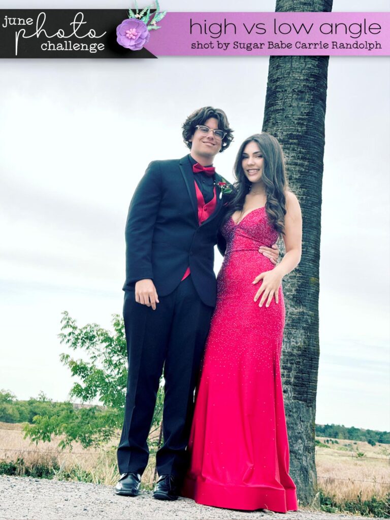 Sweet Shoppe Designs – The Sweetest Digital Scrapbooking Site on the ...