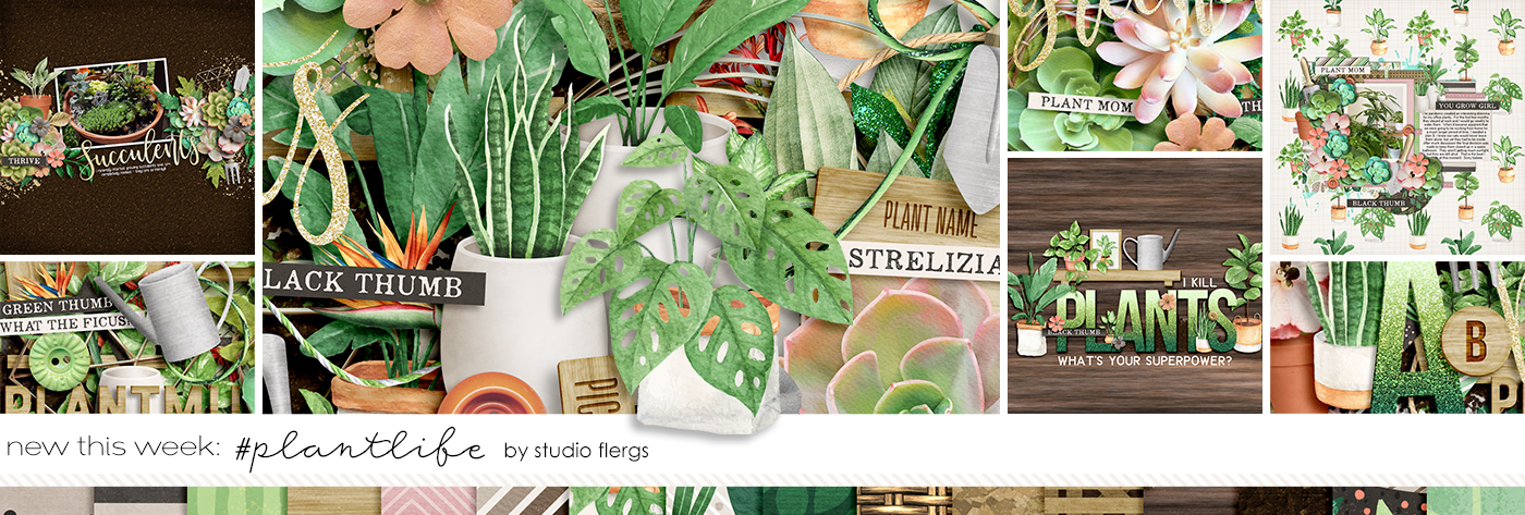 Sweet Shoppe Designs – The Sweetest Digital Scrapbooking Site on the Web