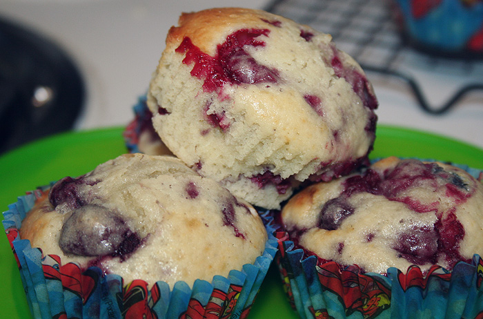 Sweet Shoppe Designs – The Sweetest Digital Scrapbooking Site on the ...